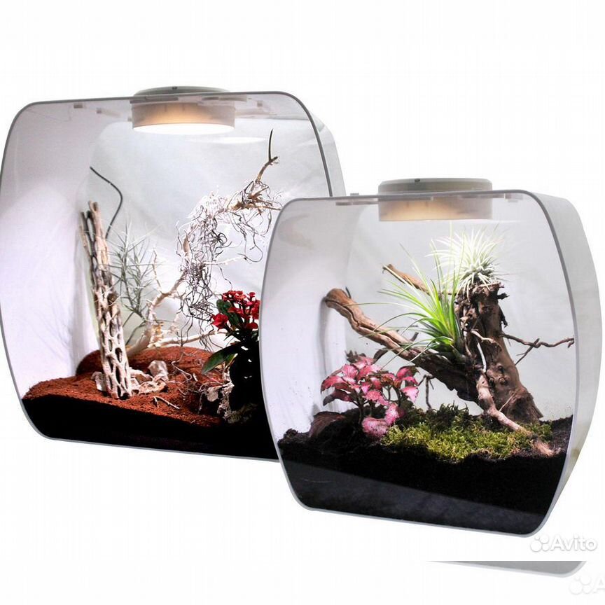 Террариум для пауков 30x18x30см