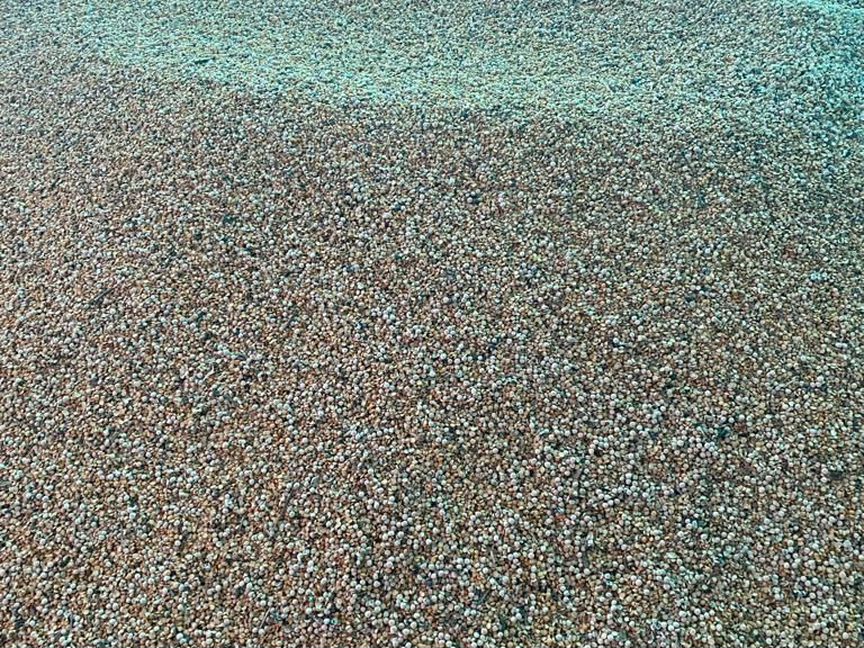 Сечка гороха