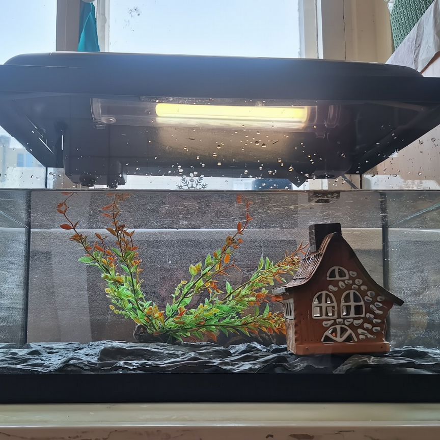 Аквариум бу, 50*35*32