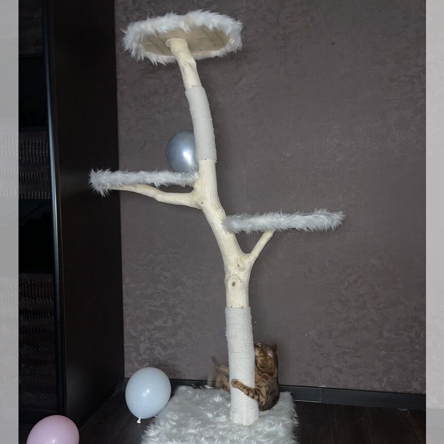 Когтеточка-столбик