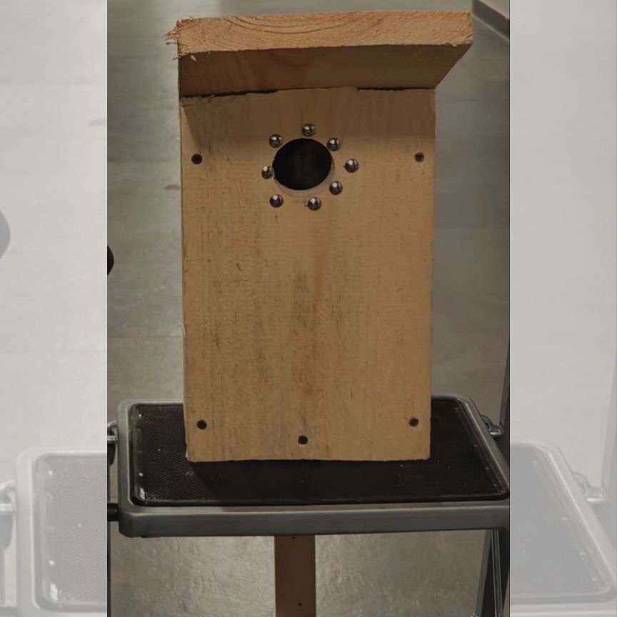 Скворечники для птиц