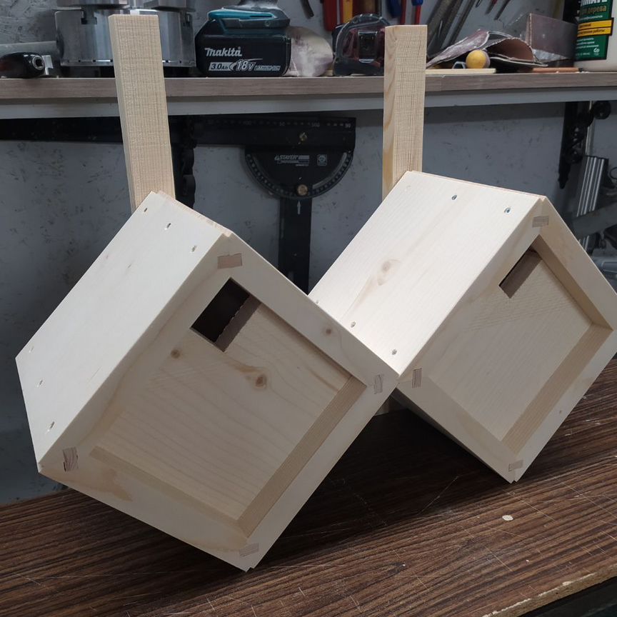 Синичник, горихвосточник