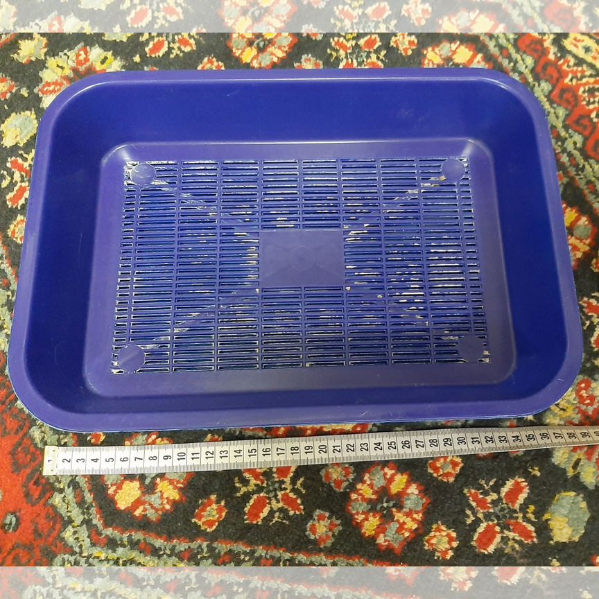 Лоток для котят