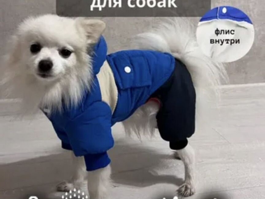 Зимний комбинезон для маленькой собаки