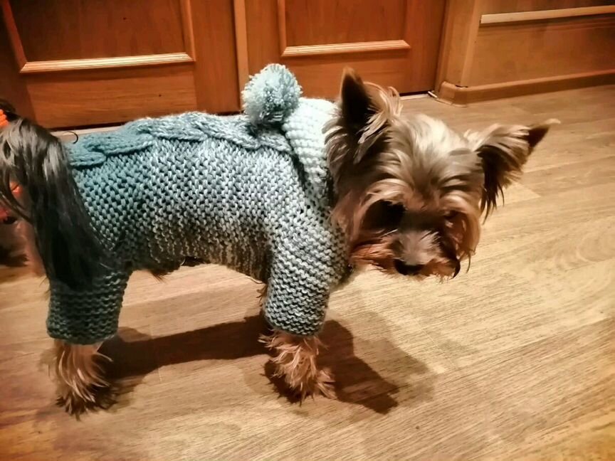 Вязаная одежда для собак на заказ