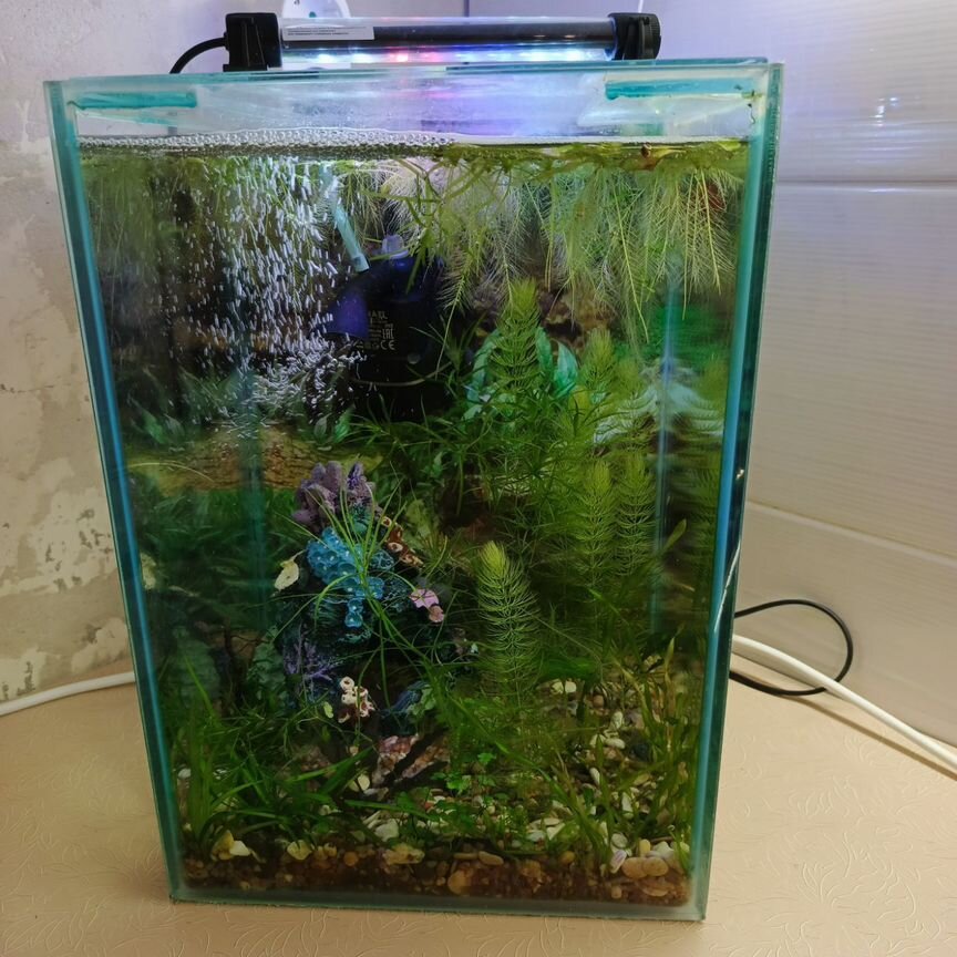 Аквариум кубик