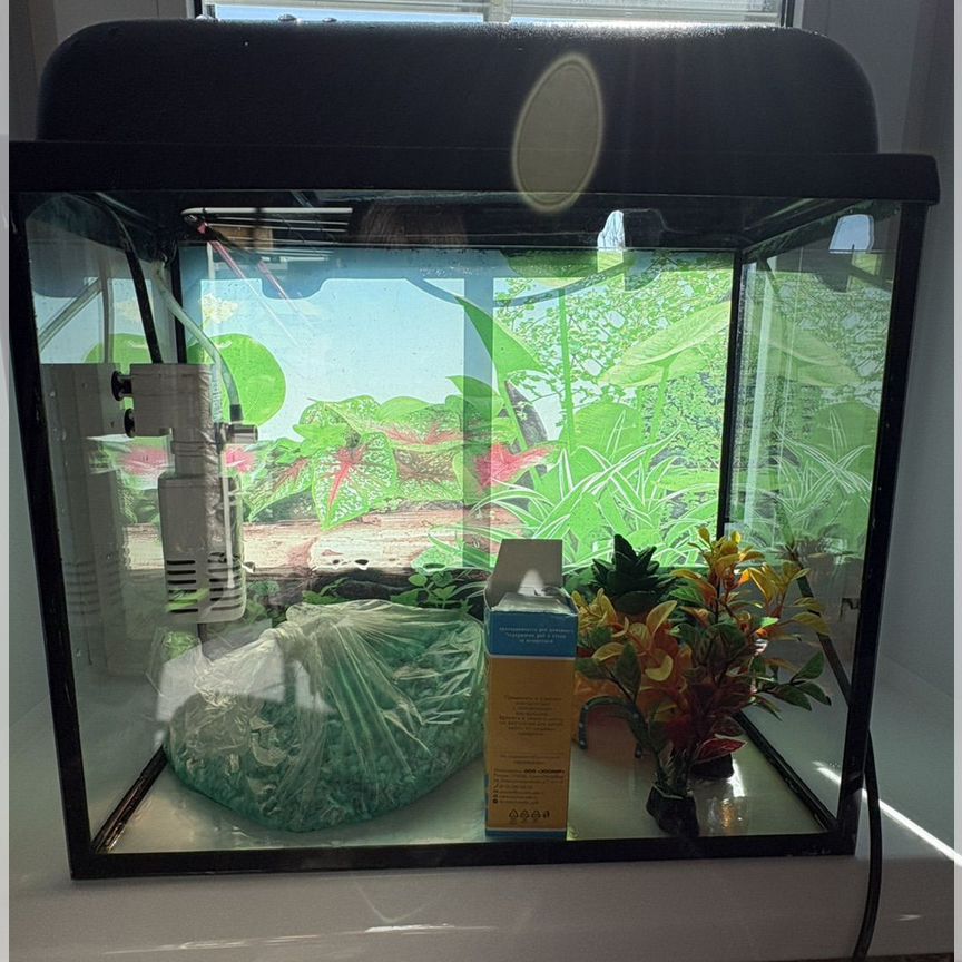 Аквариум со всем содержимым