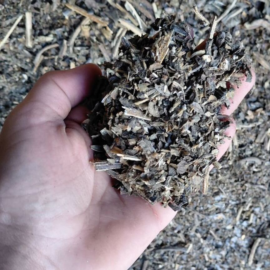 Отходы семечки подсолнечника