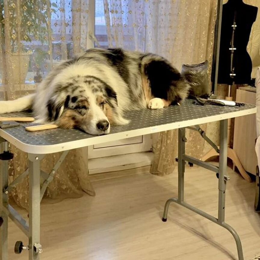 Стол для груминга складной 120 х 60 с рег. высоты