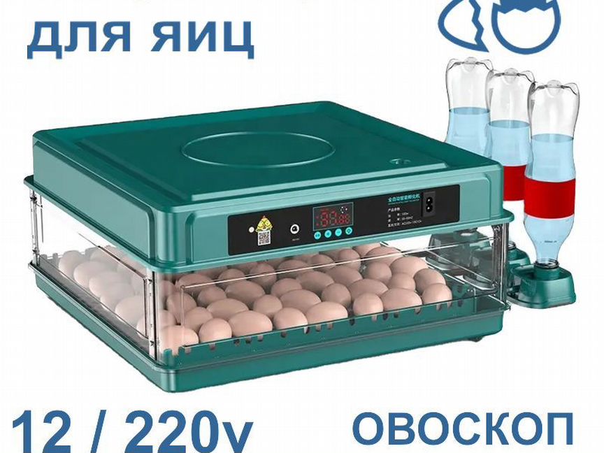 Инкубатор для 64 яиц автоматический 12/220 в