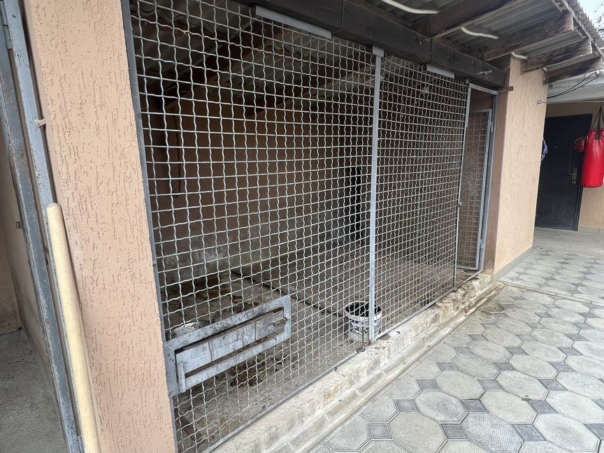 Сетка для Вольера