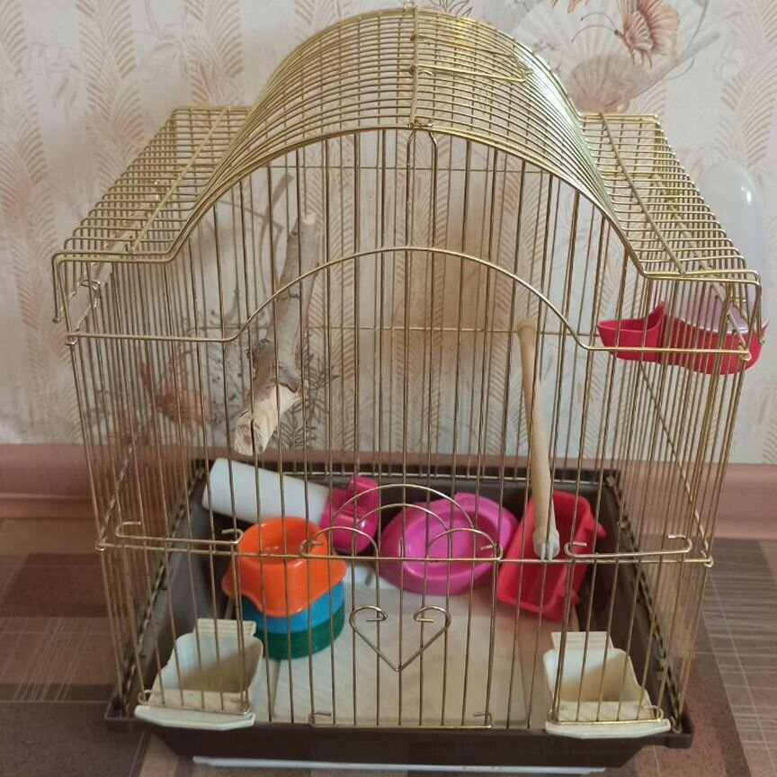Клетка для птиц бу