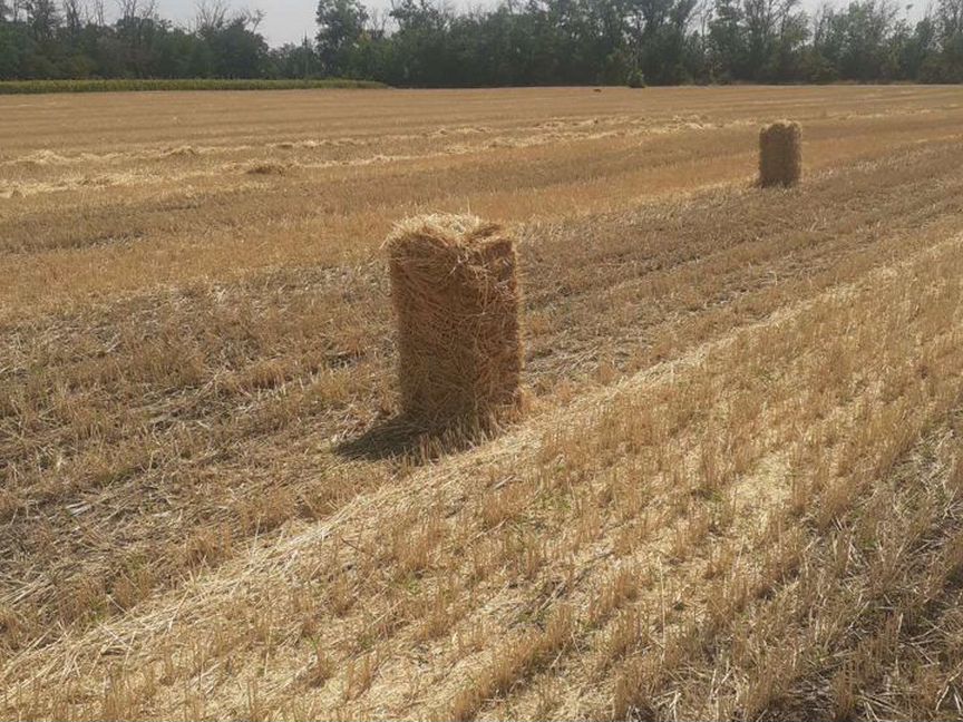 Солома в тюках
