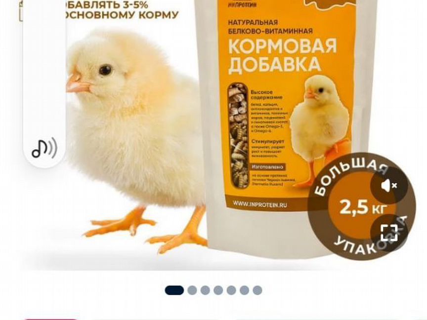 Корм для собак