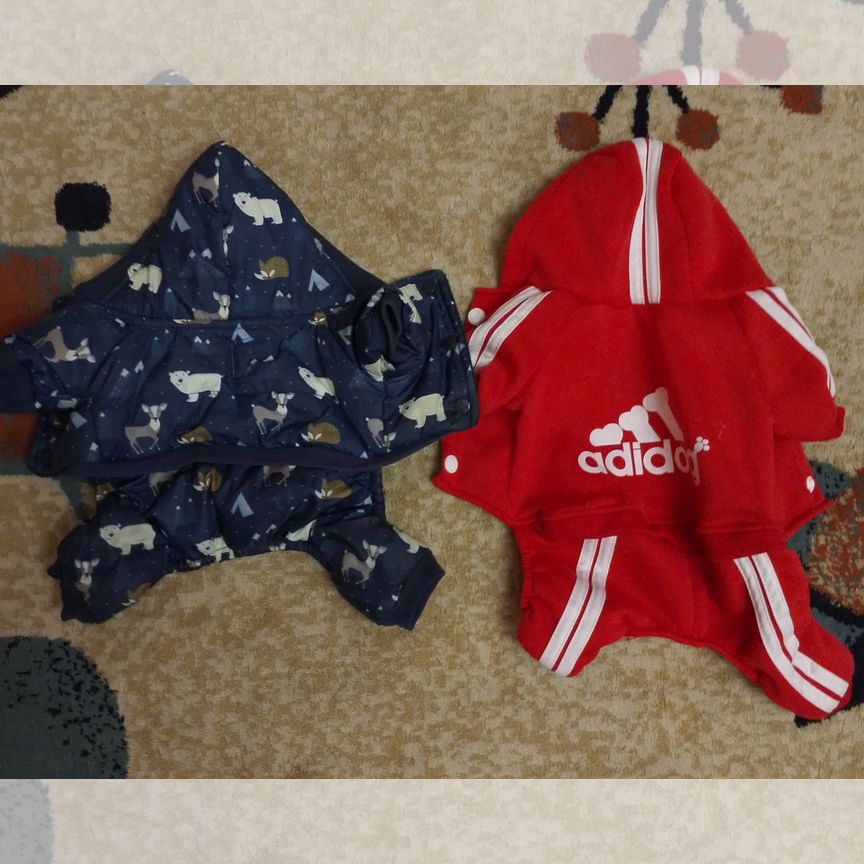 Комбезы для собачек и кошечек