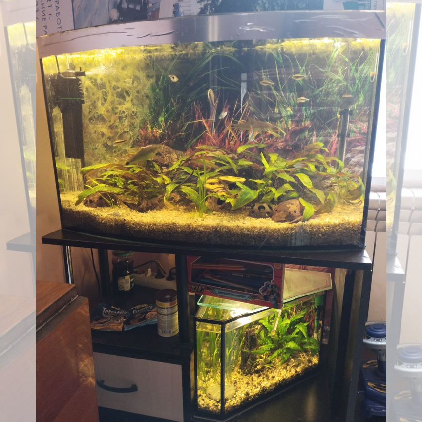 Аквариум с тумбой воронеж125л