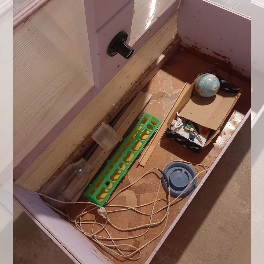 Брудер для цыплят