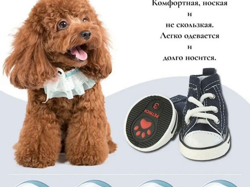 Кеды для собак маленьких пород