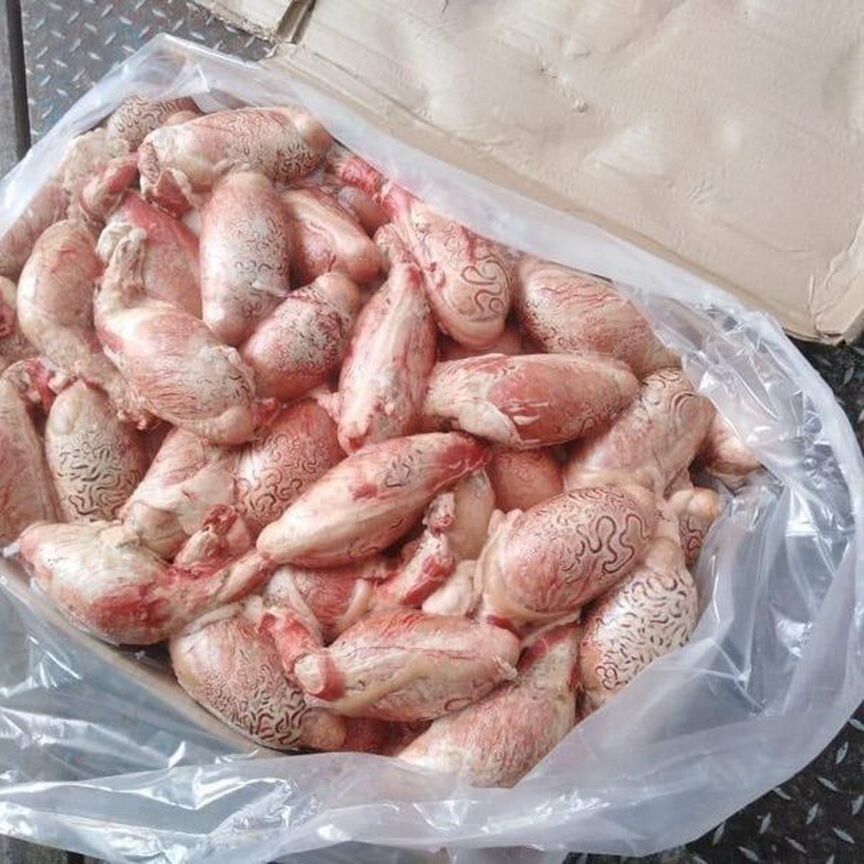 Мясо для собак