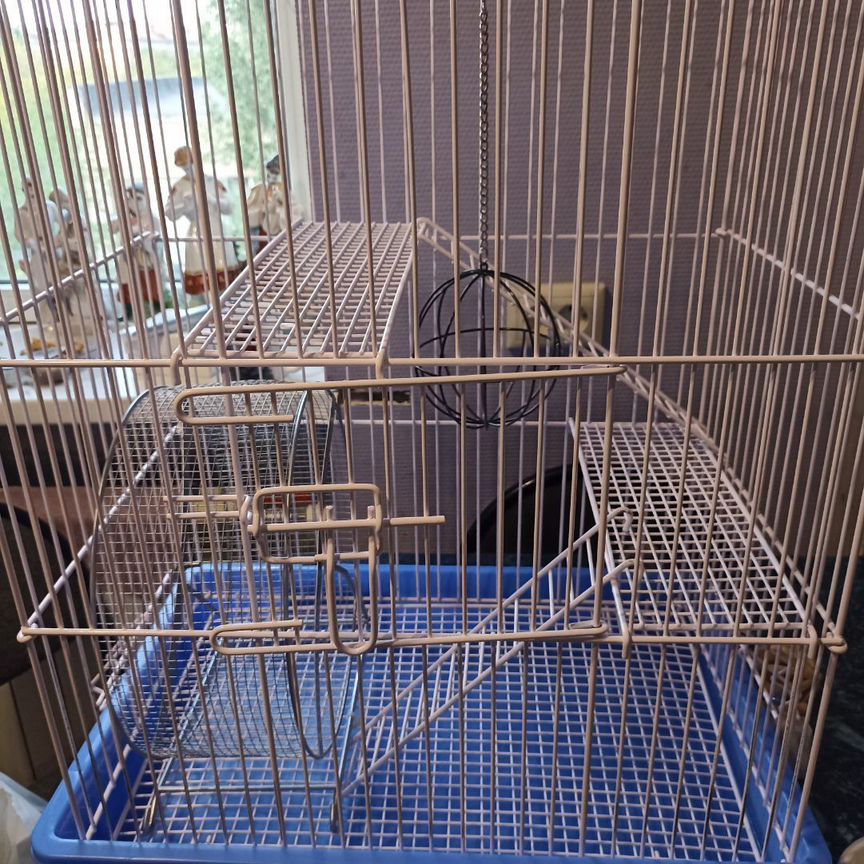 Клетка и всё что нужно для шиншиллы