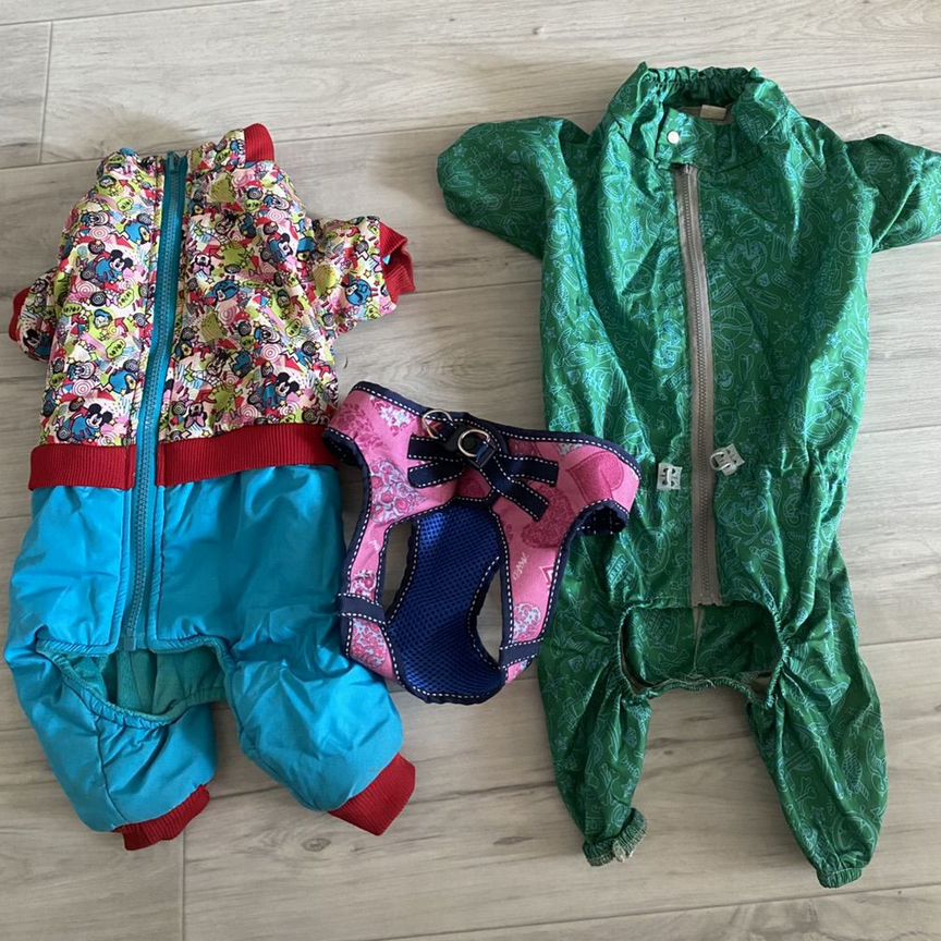 Одежда для собак