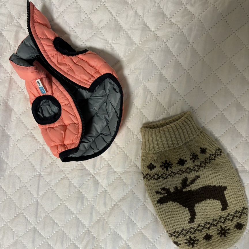 Одежда для собак мелких пород