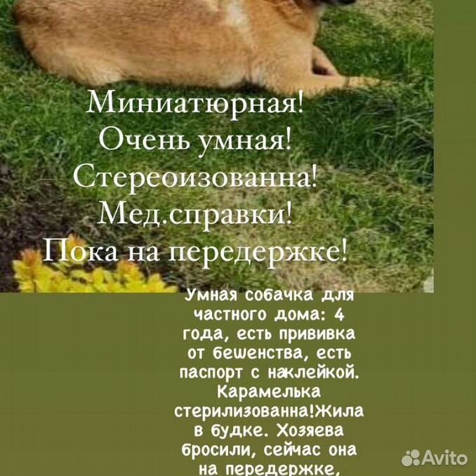 Карамелька добрячка