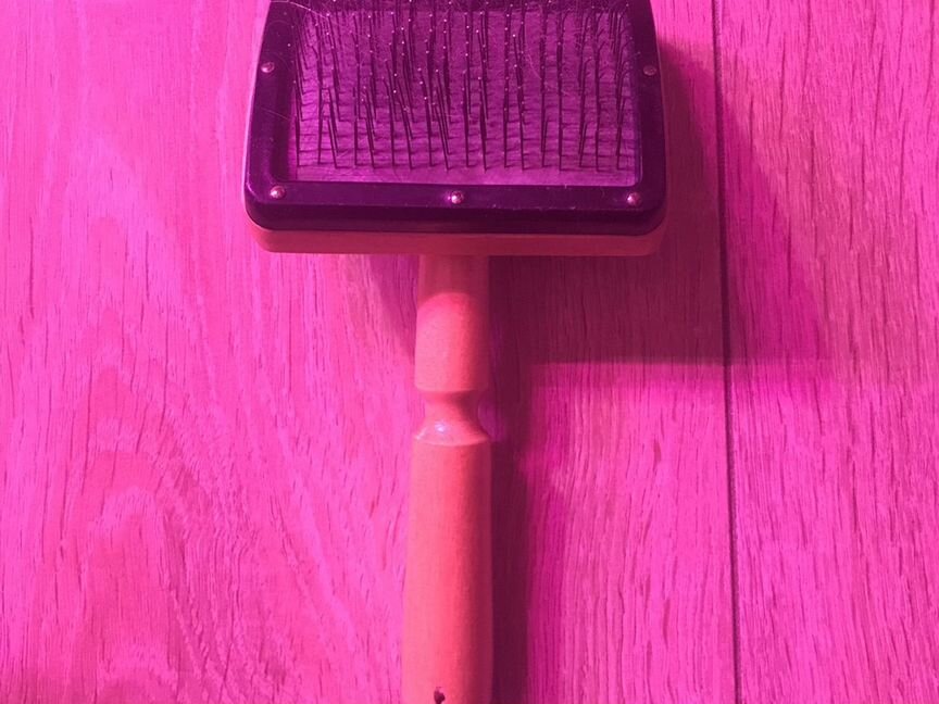 Амуниция для собак