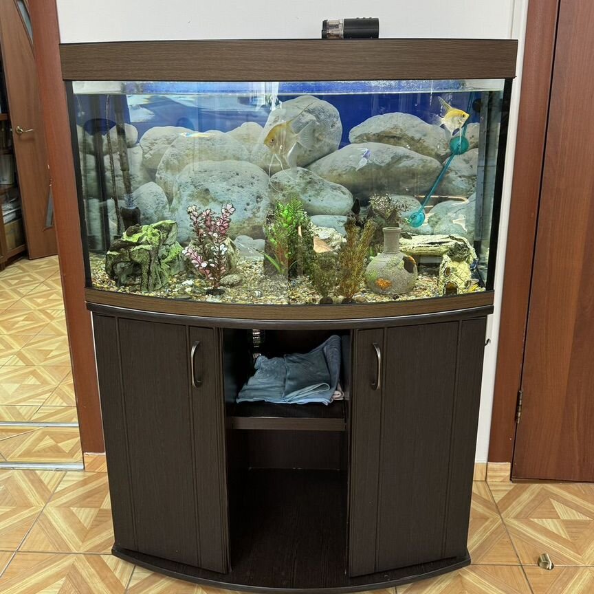 Аквариум 240л