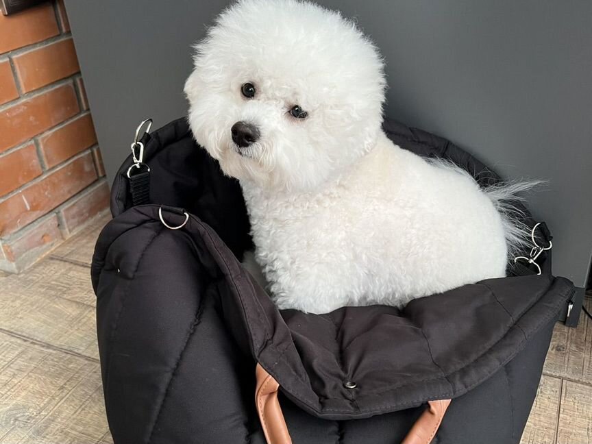 Автокресло-переноска для собак for pets