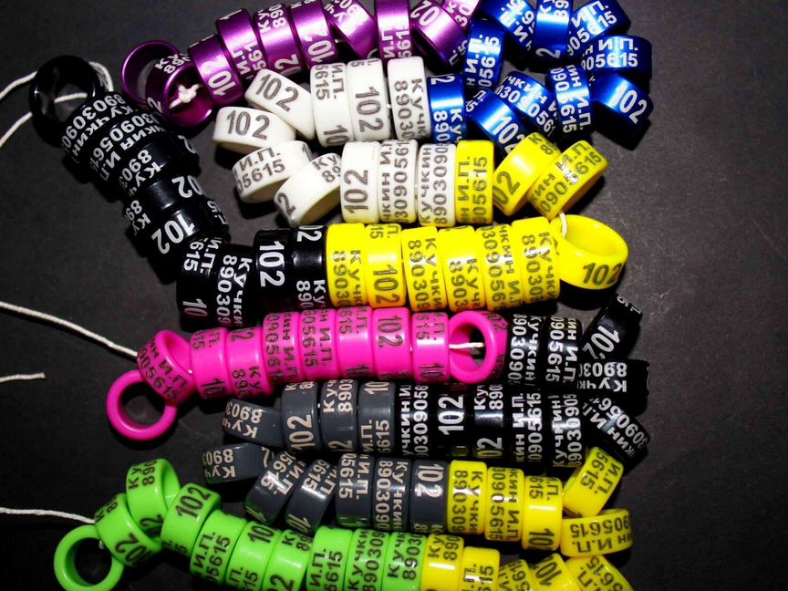 Кольцо на лапку голубя