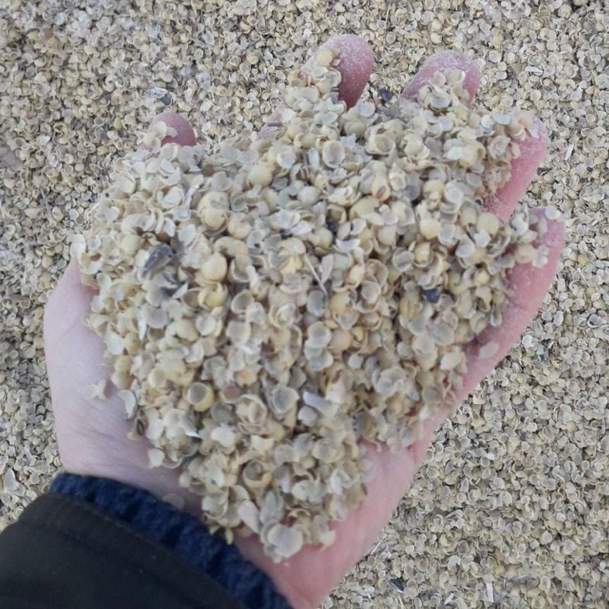 Соевая оболочка корм крс