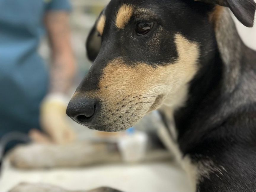 Джек ждёт и надеется