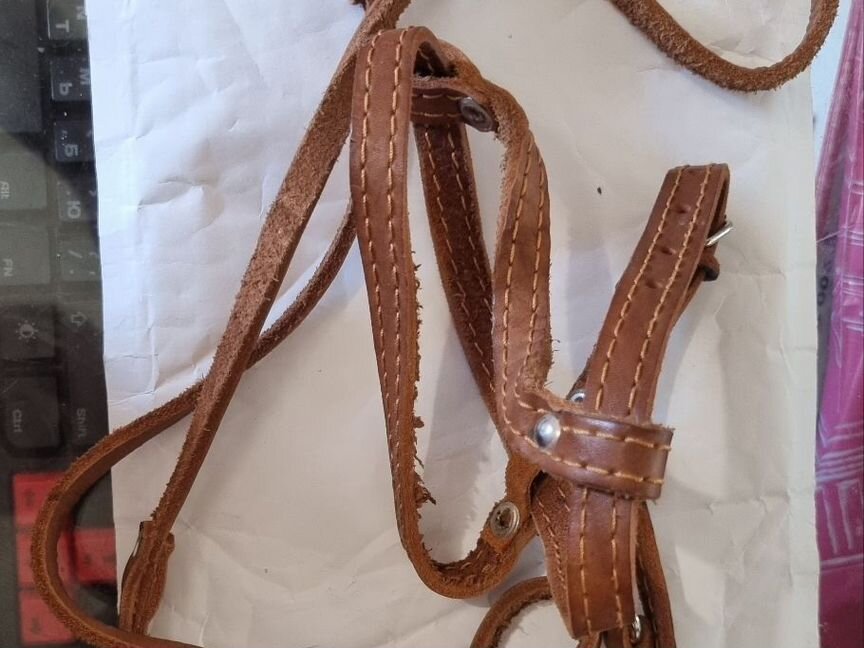 Шлейка для маленькой собаки