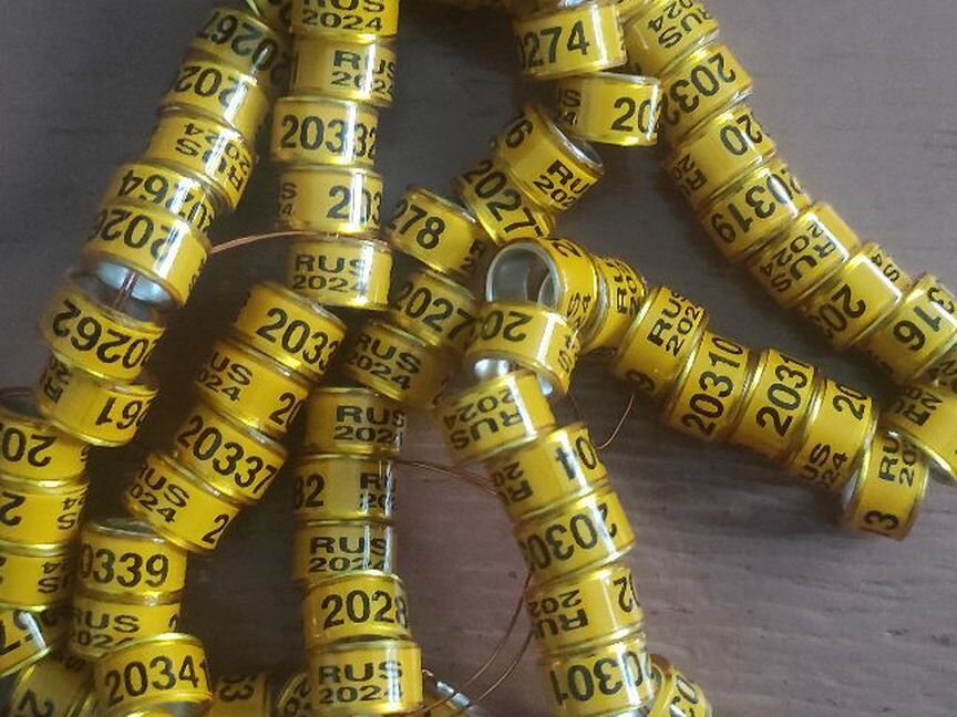 Кольца для голубей на 2024г