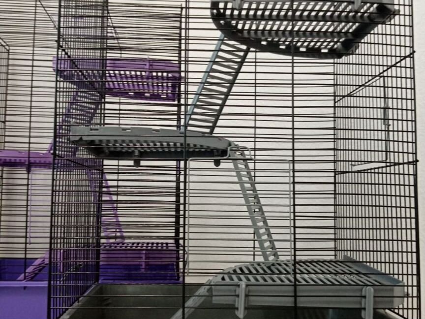 Клетка для грызунов, для крыс, хомяков, дегу