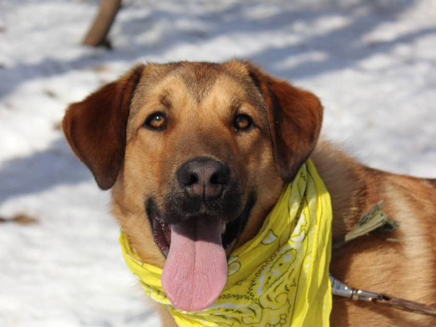 Малыш Смурфик ждет родителей