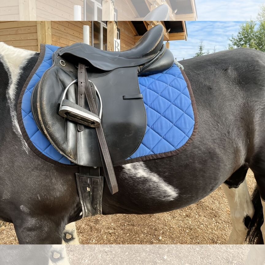 Седло для лошади Silver rider