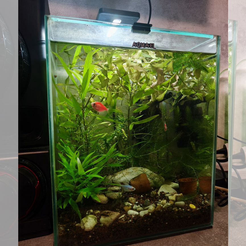 Аквариум 30 литров