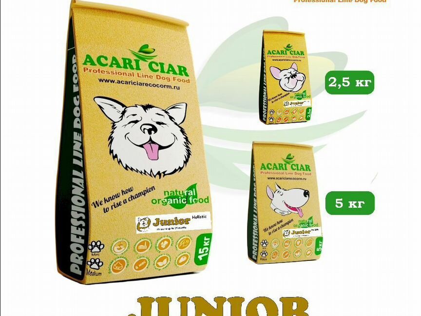 Junior Dog (25, medium)