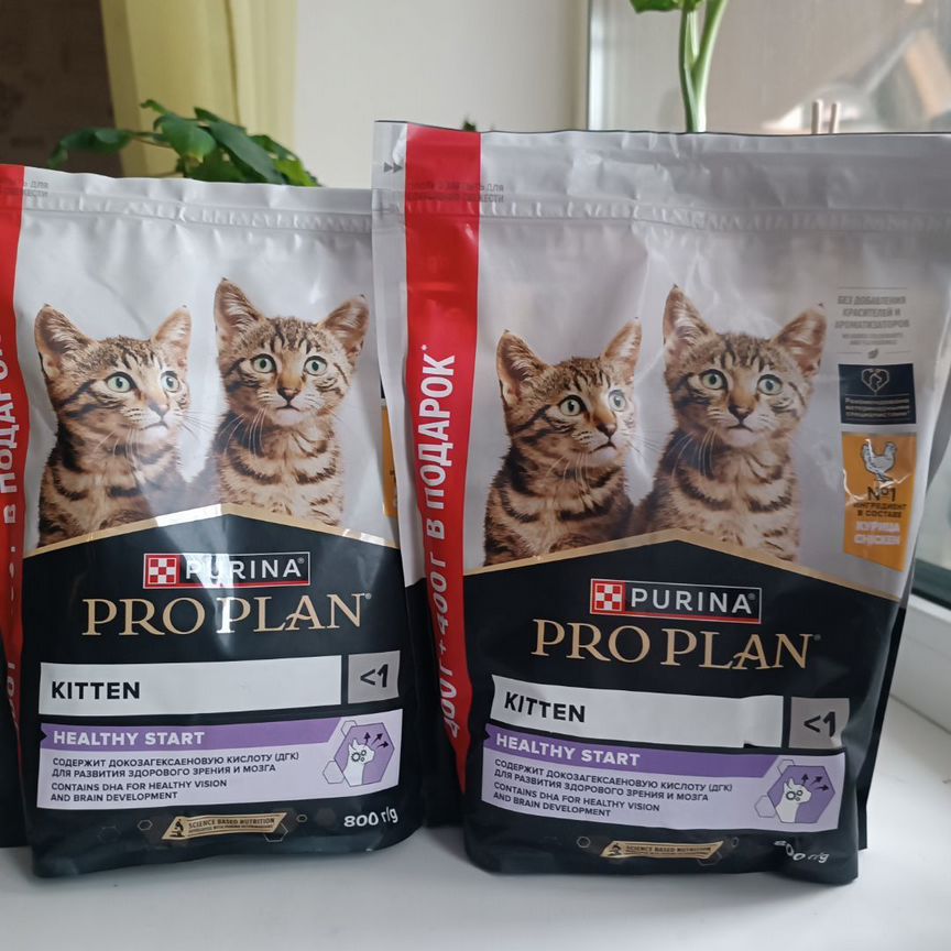 Корм для кошек