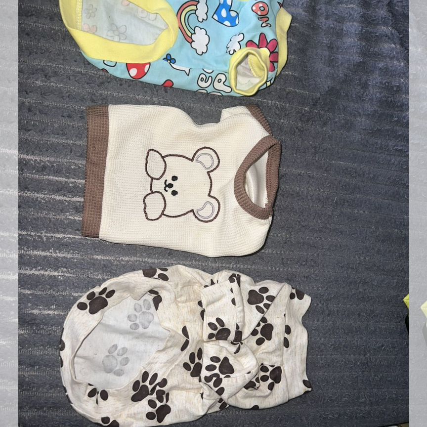 Комбез прогулочный для собаки