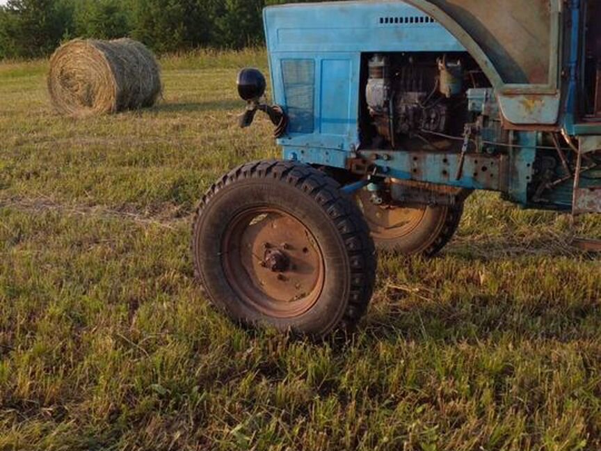 Товары для животных