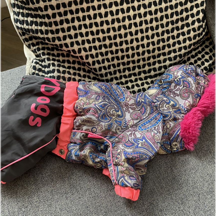 Комбинезон для маленькой собаки for my dogs