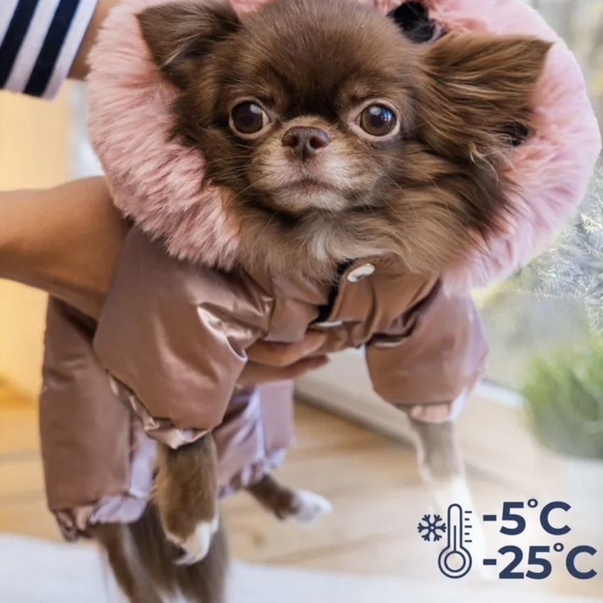 Одежда для собак мелких пород зима