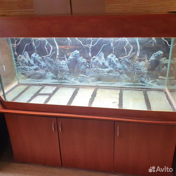 Аквариум с тумбой б/у(500л )