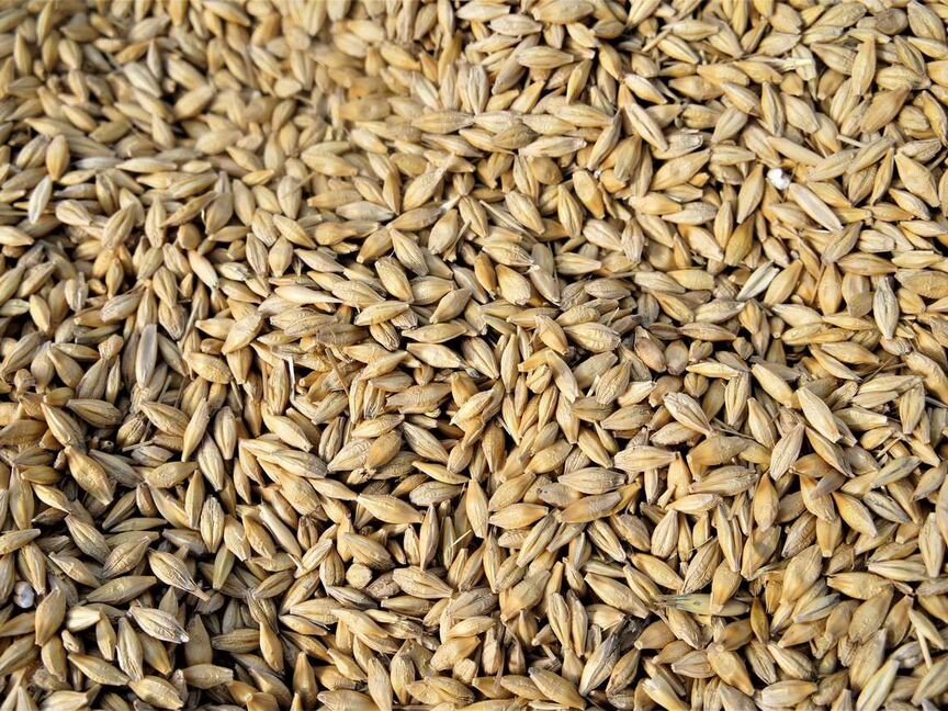 Зерносмесь