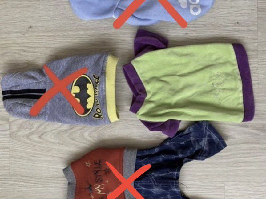 Одежда для маленьких собак