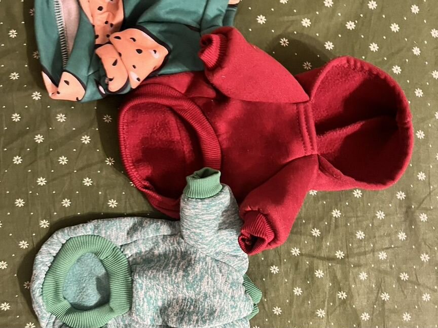 Одежда для котенка или маленькой собаки