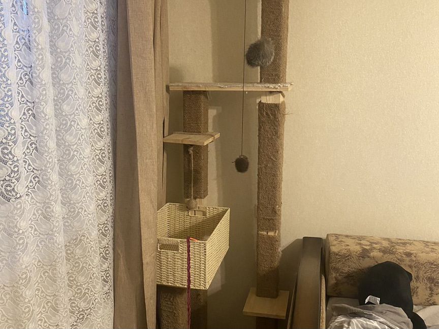 Кошачий домик